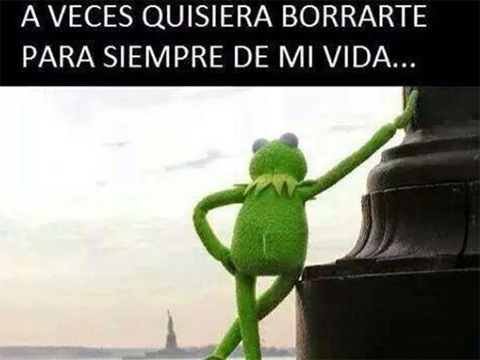 Ranita De Memes Me Di Cuenta De Que Hoy No Había Memes De Los