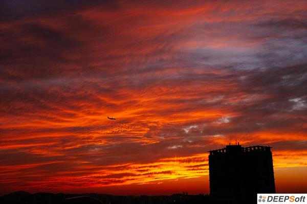 디프소프트(DEEPSoft) (@deepsoft) | Twitter