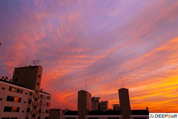 디프소프트(DEEPSoft) (@deepsoft) | Twitter