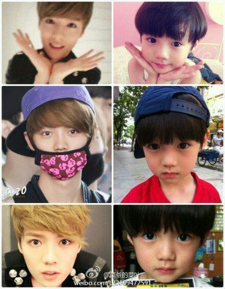 Exo Luhan Baby Pictures