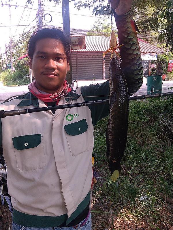 Mr.Natdanai Theateai (@NatNai_Angler) | Twitter
