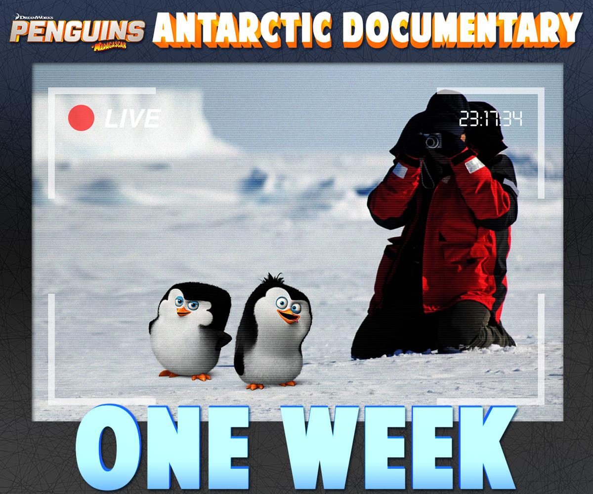 DreamWorks Animation on Twitter: "The Penguins Antarctic Documentary ...