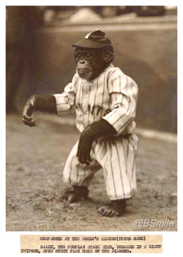 Monkey Playing Baseball