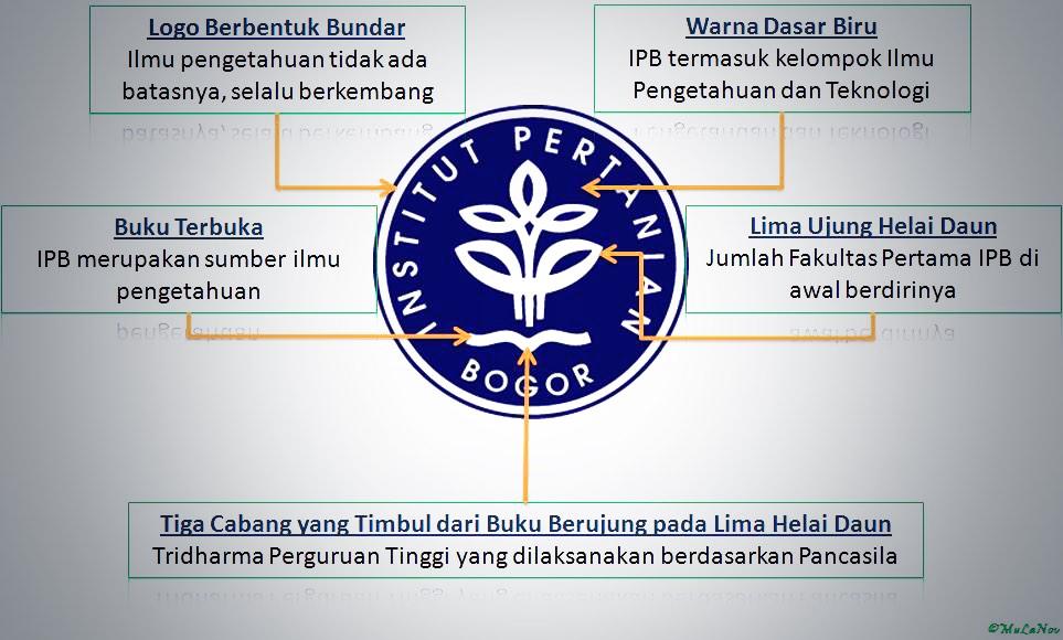 Contoh Makna Logo Imagesee The Best Porn Website 