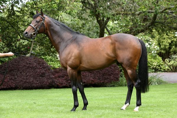 Helsinge to visit Canford Cliffs | Bel Esprit Winners Club