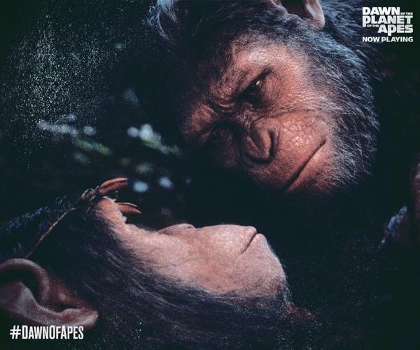 Dawn Of The Planet Of The Apes Caesar And Cornelia