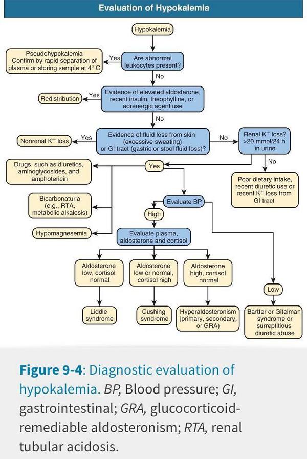 Hypokalemia Approach