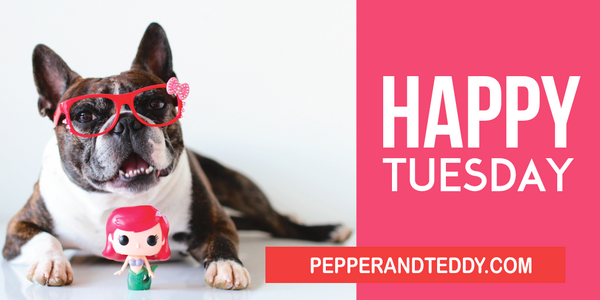 Happy Tuesday Dog