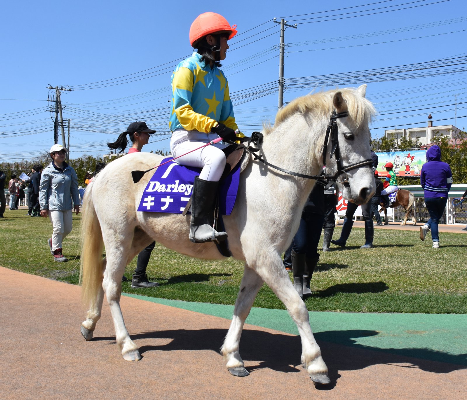 パカパカ工房 On Twitter 【ダーレージャパン杯・第2回門別ポニーレース(darley Japan Cup)】出走馬は全7頭。④