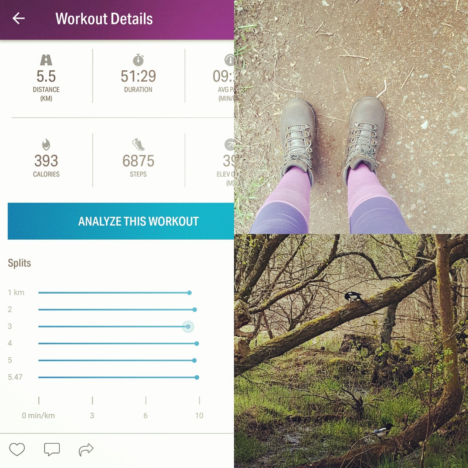 Katie Taylor on Twitter: "Wee bit of #trekprep 👣 Just over 9 weeks to go #iceland…