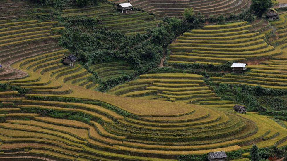 Terrace Farming Minecraft