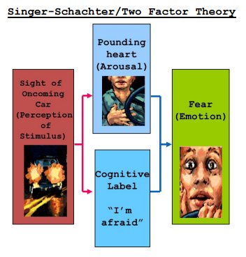 Two Factor Theory Of Emotion