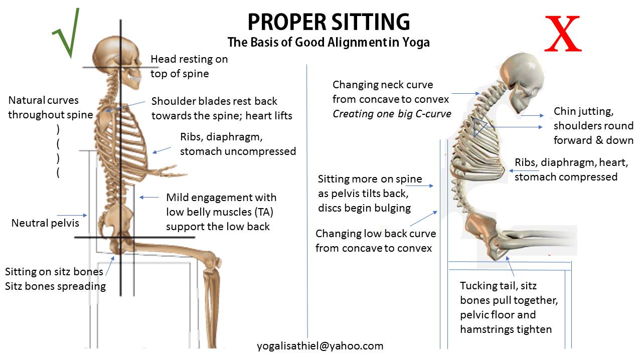 Concave Vs Convex Spine