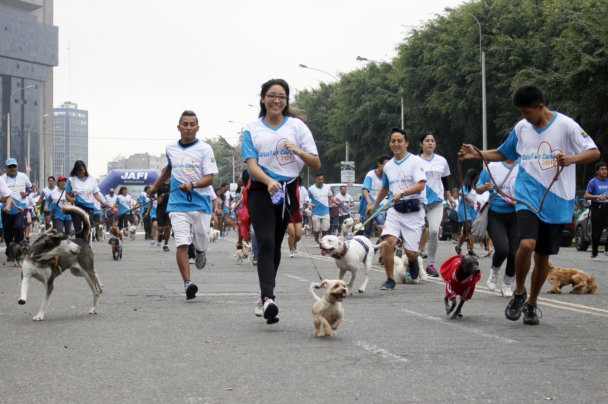 Pets make great running partners! People run with their pets in a ...