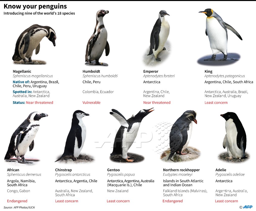 Penguin Day: World Penguin Day: Pew study shows two thirds of the world ...