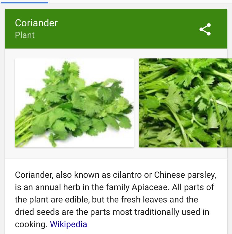 Cilantro Leaves In Tagalog