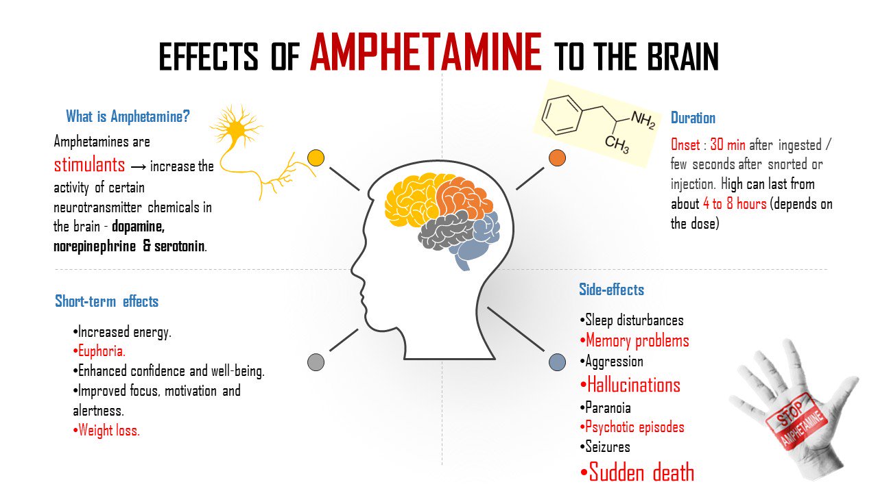 Stimulants Effects On The Brain