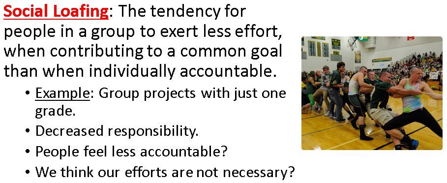 Social Loafing Examples