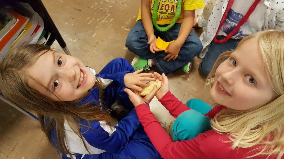 Schneider Elementary (@Schneider_Elem) | Twitter