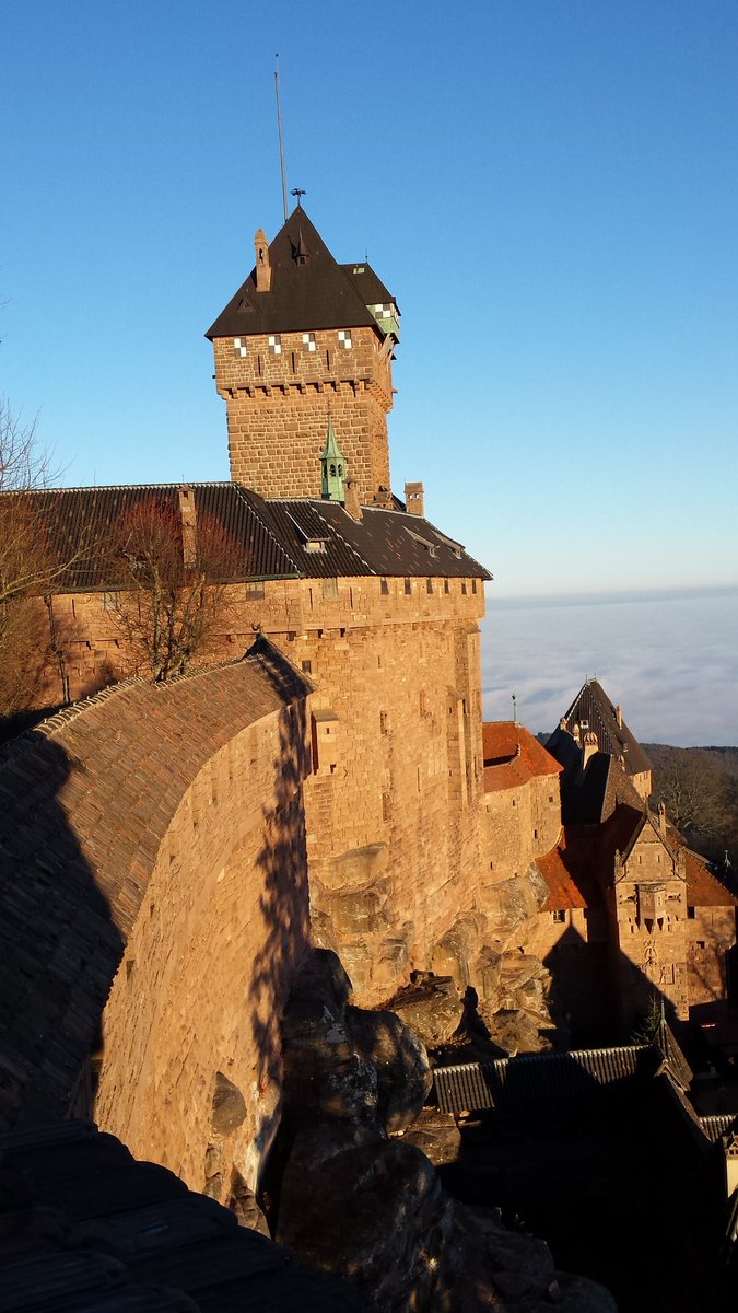 Sophie Dubois (@Sof_Dubois) | Twitter