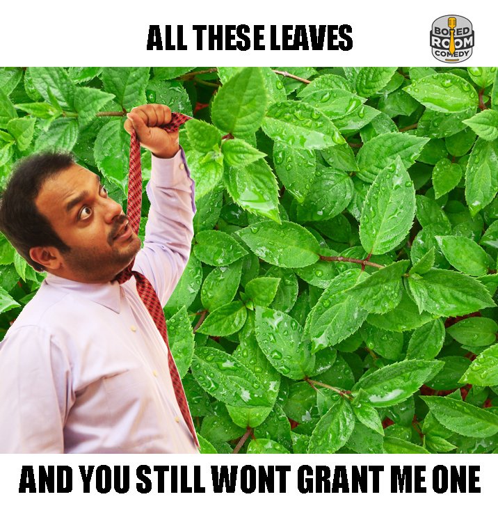 All These And You Still Meme