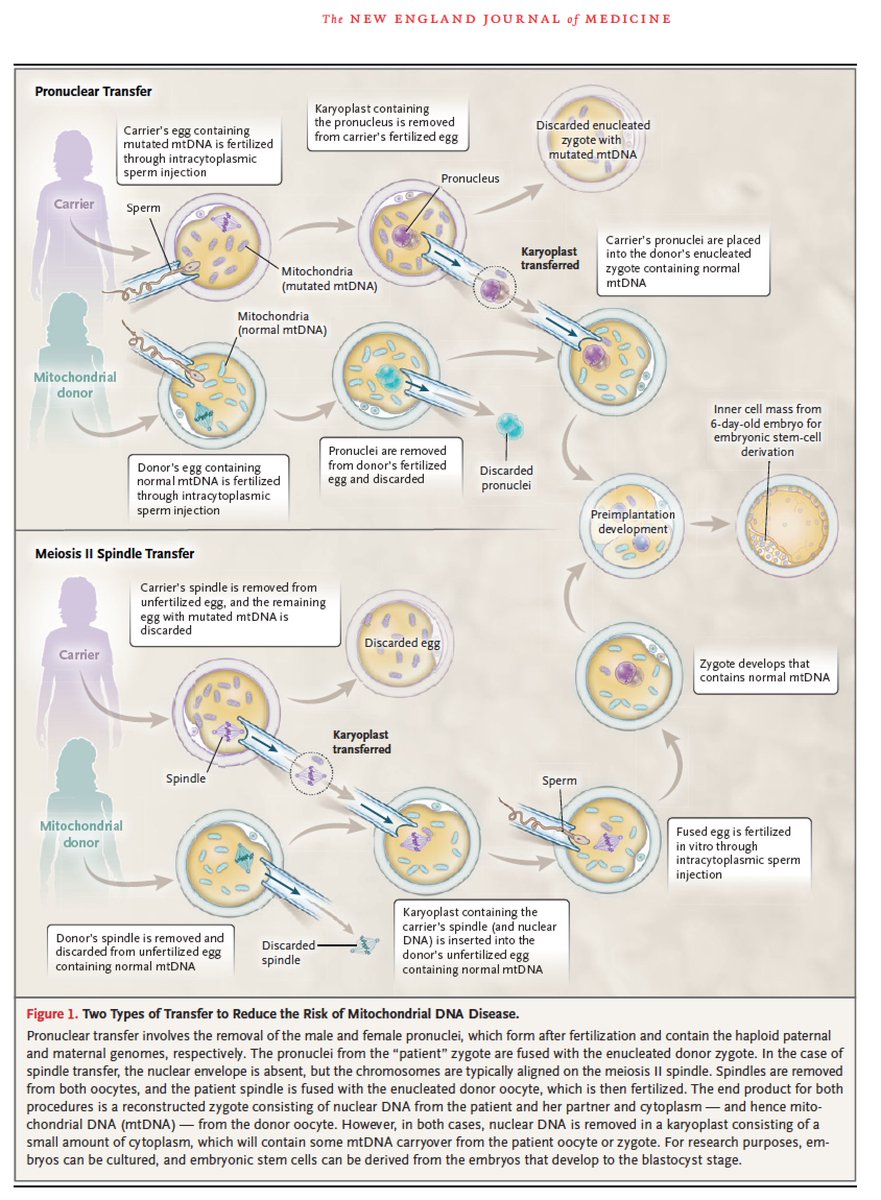 This excellent summary and graphic complements it NEJM | Eric Topol ...