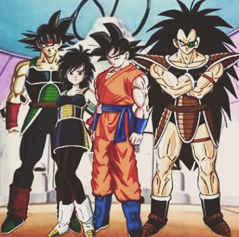 Bardock And Raditz