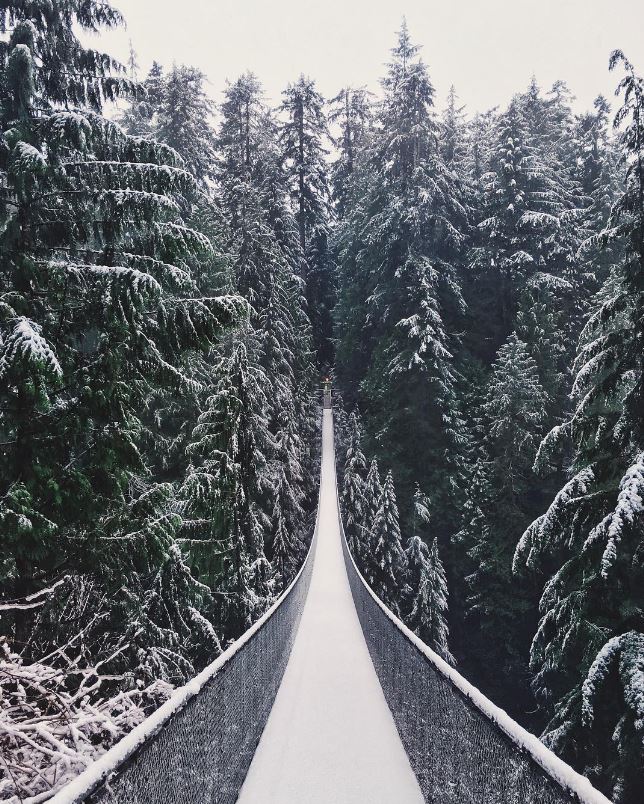 Capilano Suspension Bridge Winter