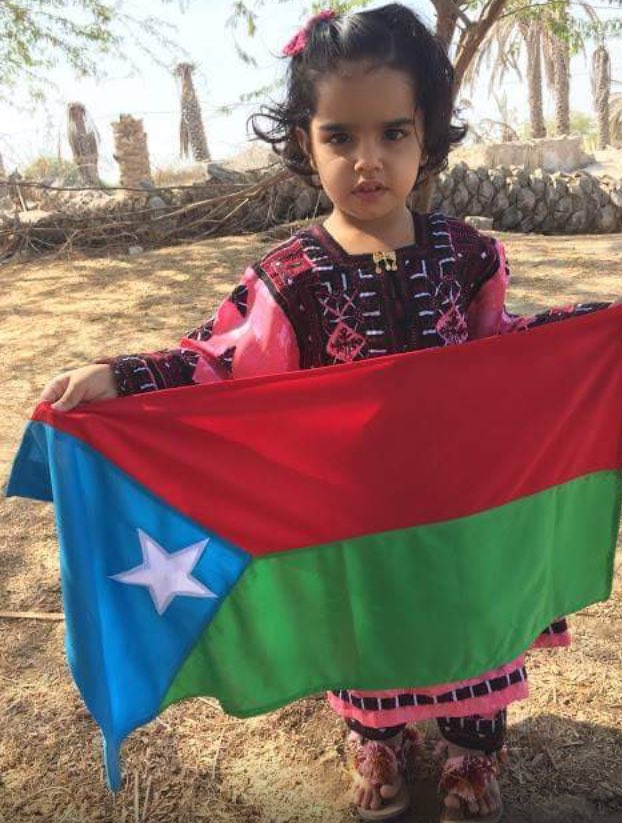 Balochistan Flag Wallpaper