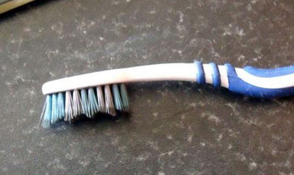 8 ways you can reuse an old toothbrush | The Times Of India | Scoopnest
