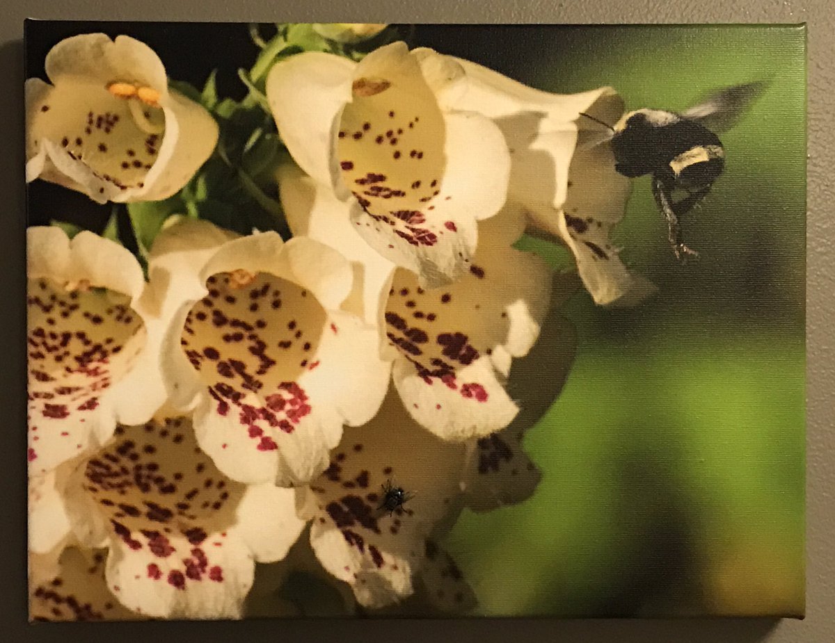 Kristopher Wuollett (@kriswuollett) | Twitter