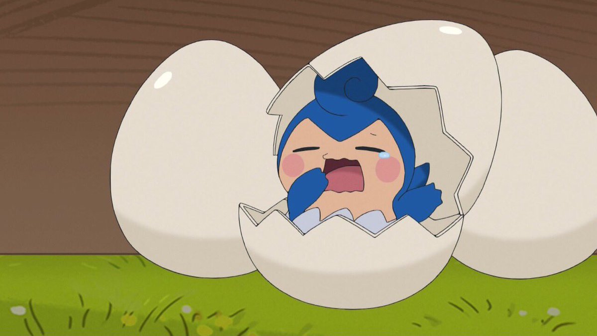 ぷらびっとケモロリバニー堂🐰 On Twitter アーッとくまるうヴかわぁいいい!!! Cocotama