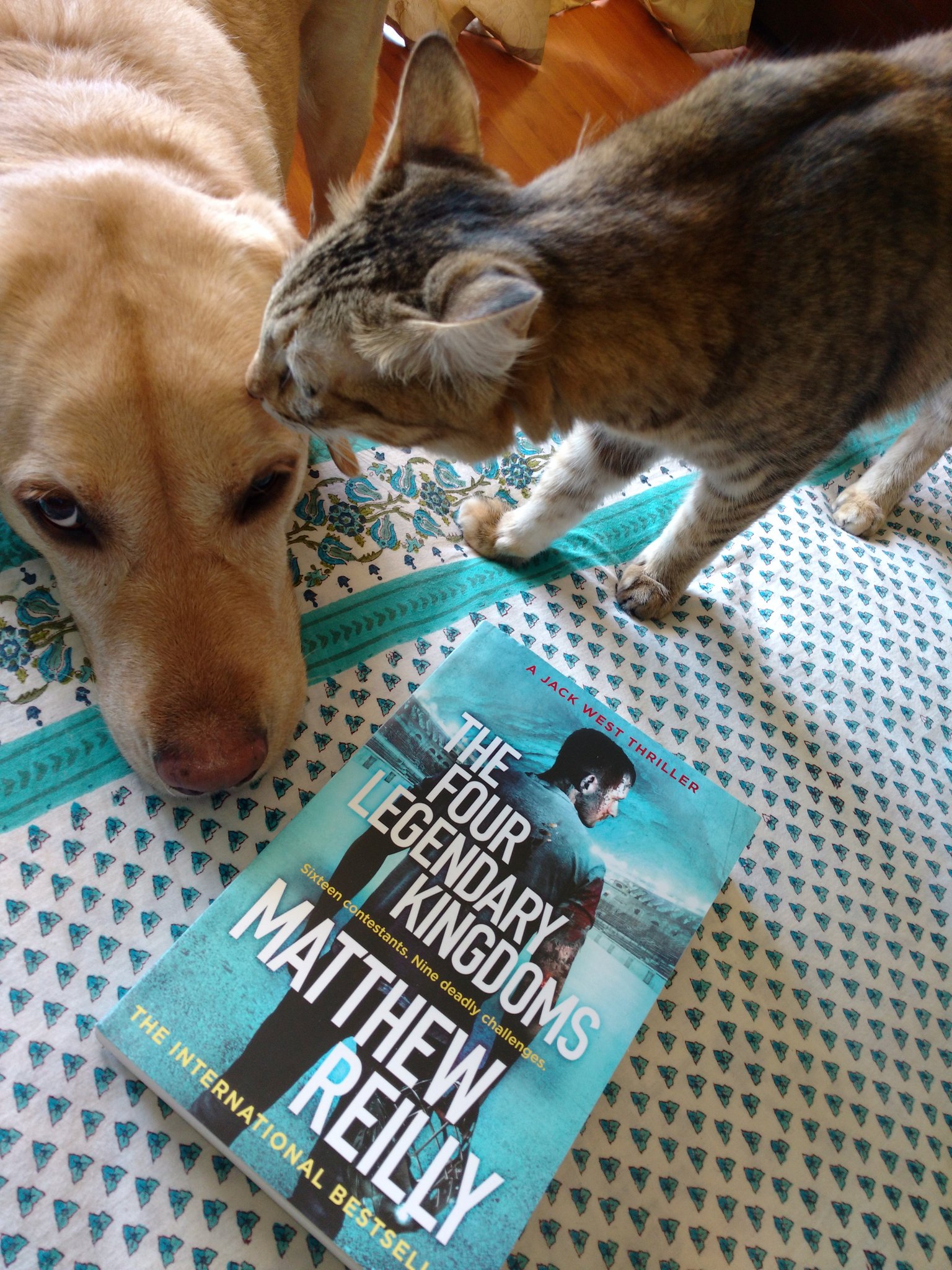 Shane Jacob on Twitter: "Got the new @Matthew_Reilly ! Christmas is saved! https://t.co ...