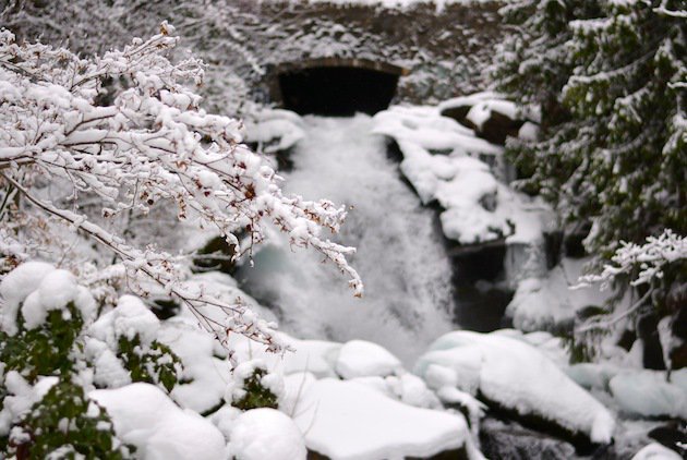 Sandy Prentice (@IntSandy) | Twitter