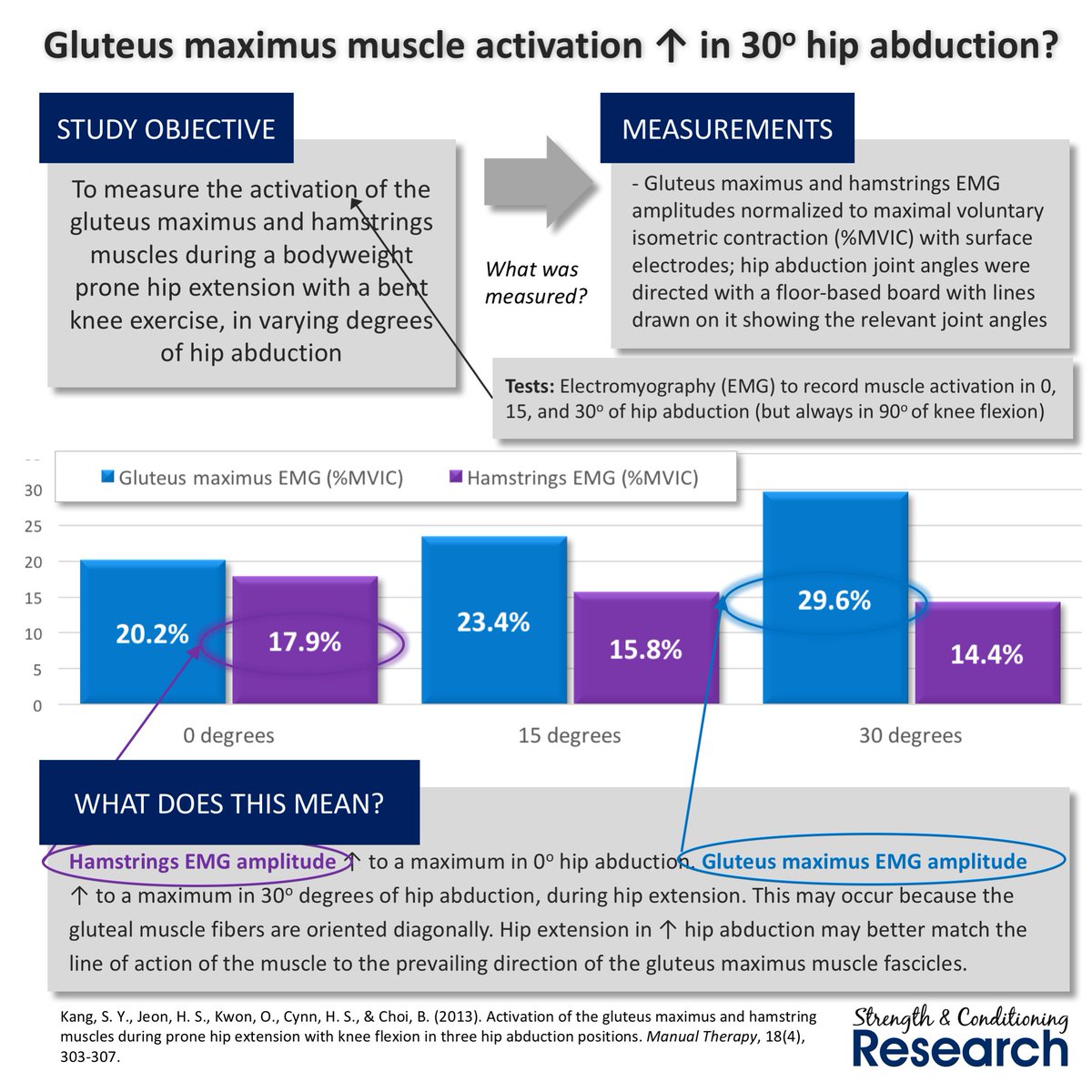 The “BIG” Glutes: Optimal Activation of GMax. – Body in Movement