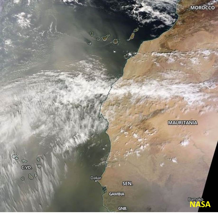 Strong 'Harmattan' winds in W Africa are taking lifted dust towards ...