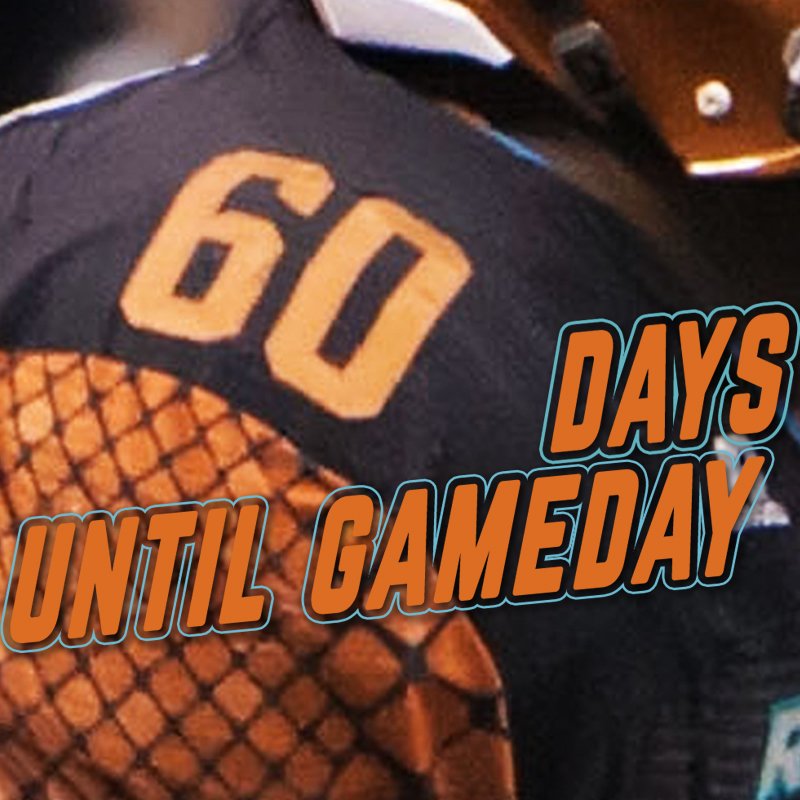 Arizona Rattlers - Arena Football League