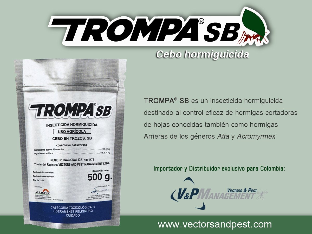 brandy Indulgente pueblo trompa insecticida bolsillo repetición escena