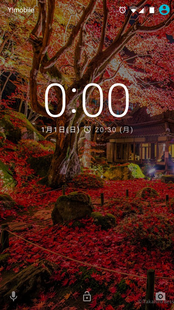 飛鷺銀 (@gin_hisagi) | Twitter