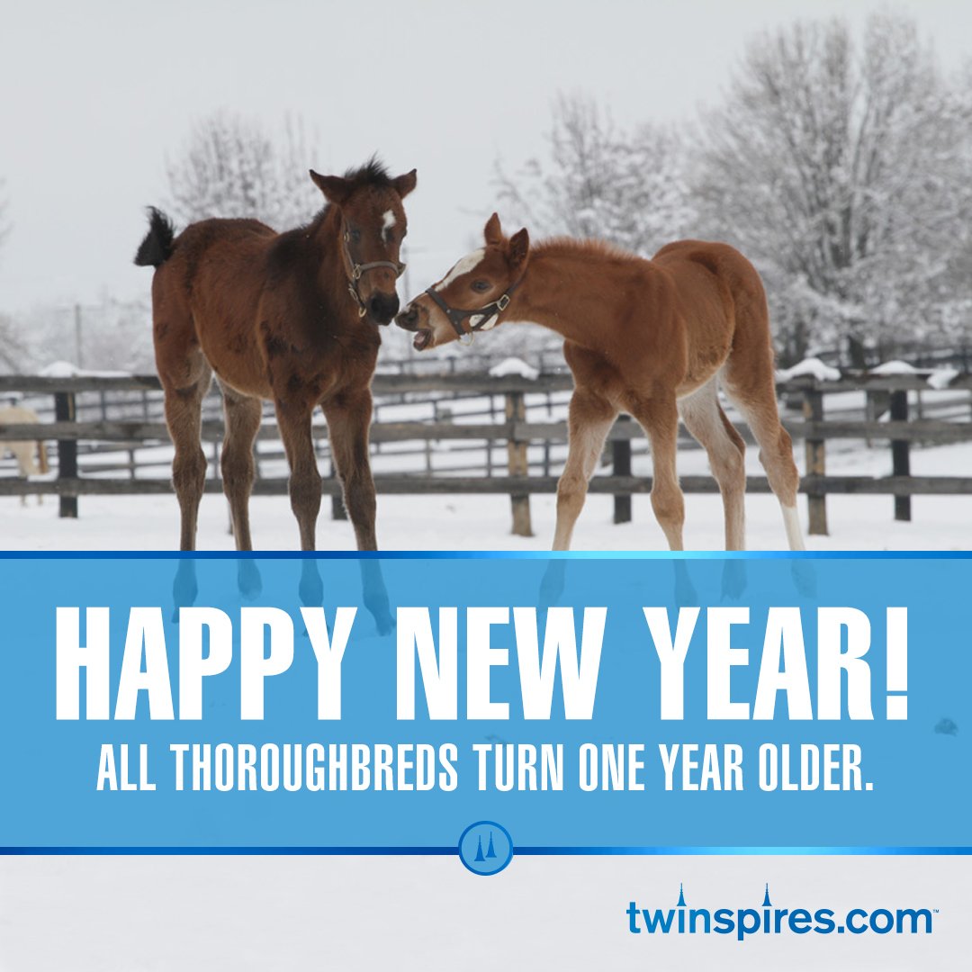 TwinSpires.com (@TwinSpires) | Twitter TwinSpires.com (@TwinSpires) | Twitter