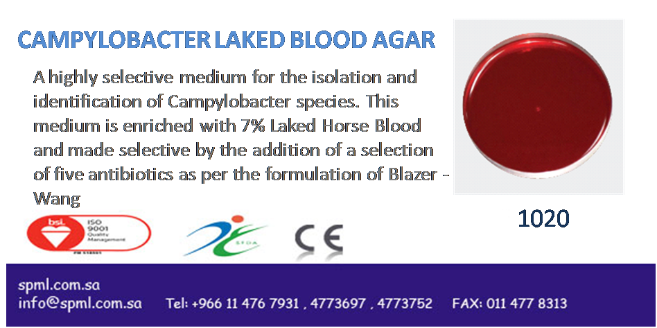 Campy Blood Agar