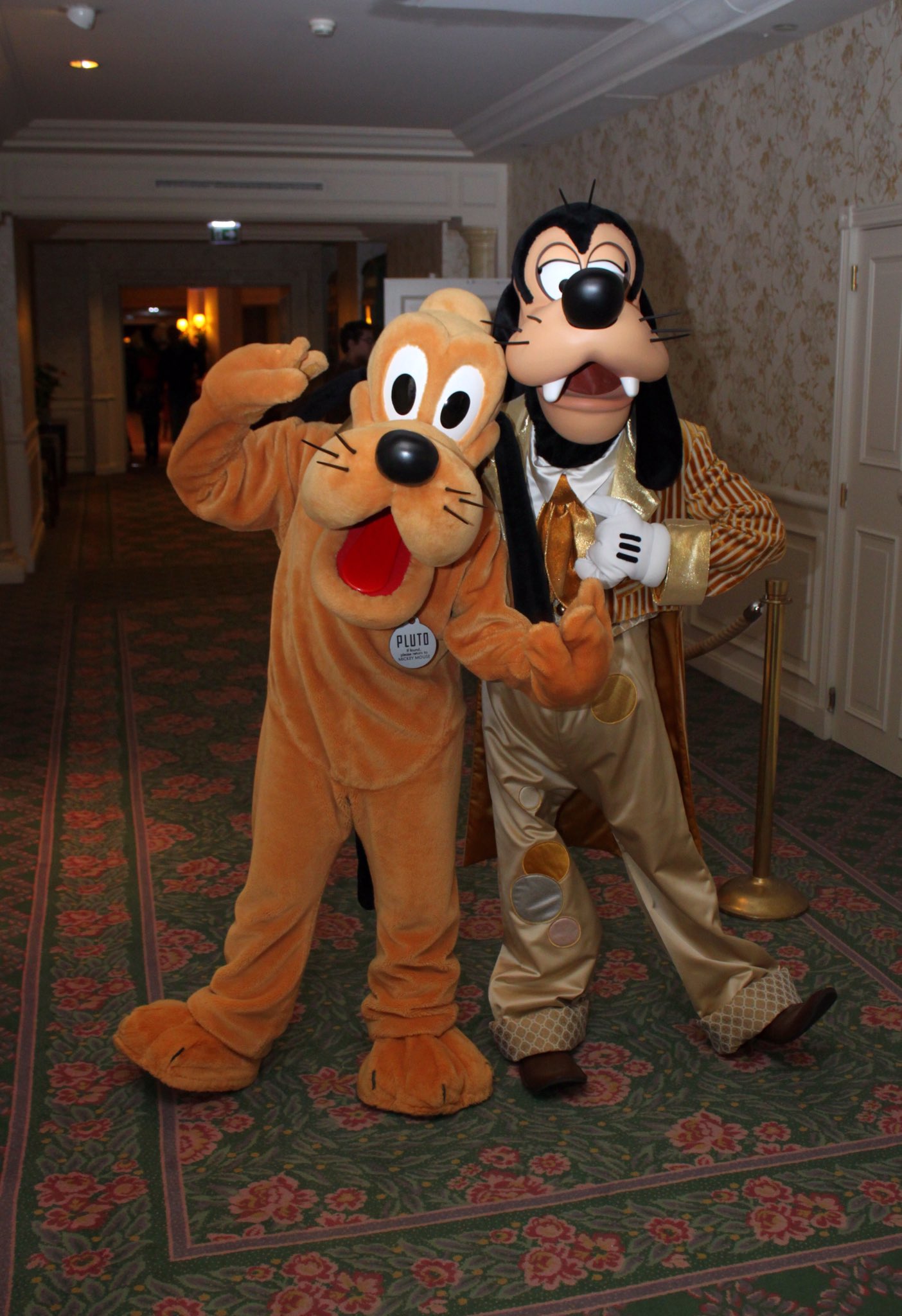 Pluto Disneyland Here Is A Look At A New Goofy And Pluto Tote Bag pluto-disneyland-here-is-a-look-at-a-new-goofy-and-pluto-tote-bag