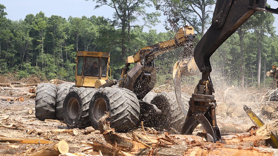 Swamp Logging Equipment