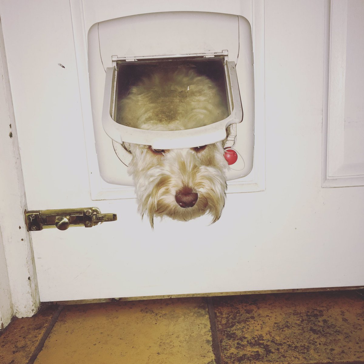 Chris Dolan (@chrisdolan) | Twitter