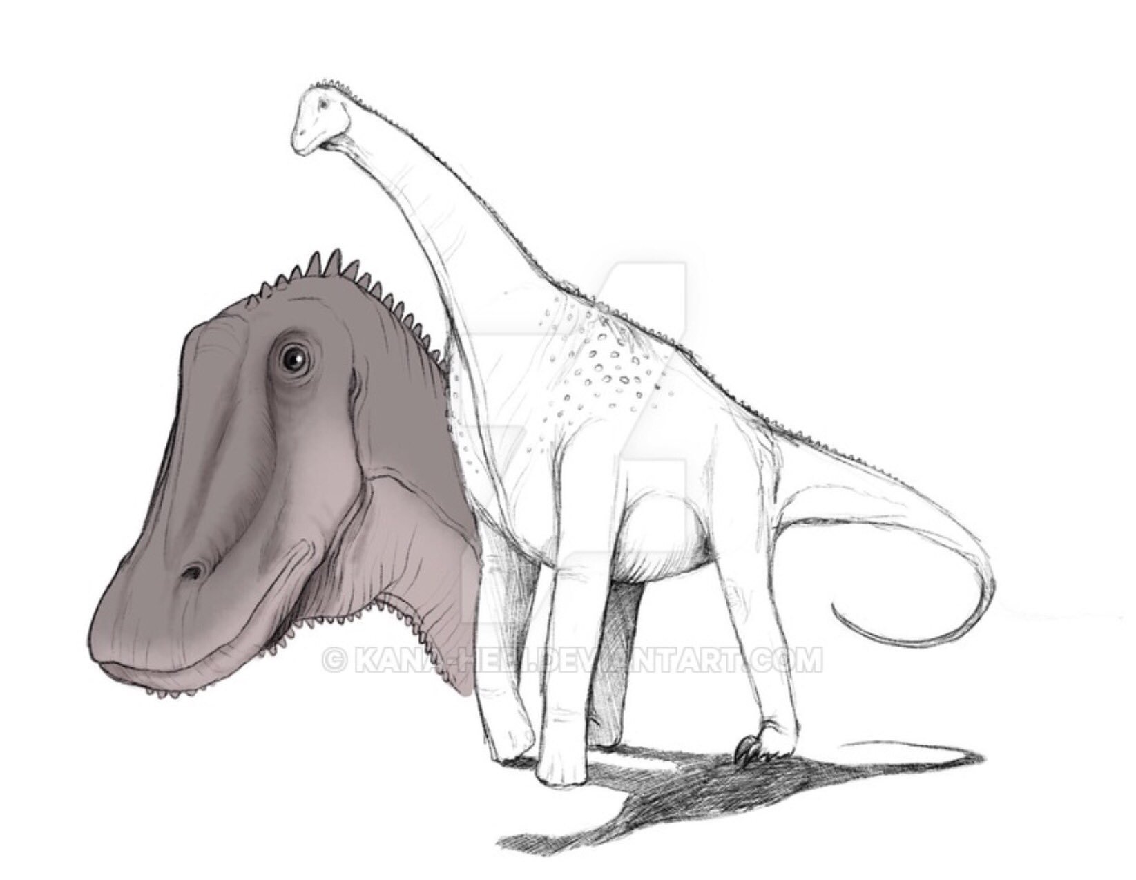 Diplodocus Head