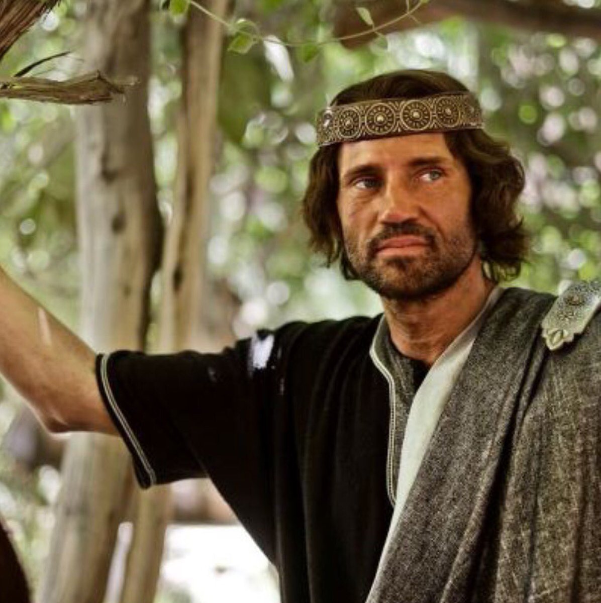 Young King David Bible