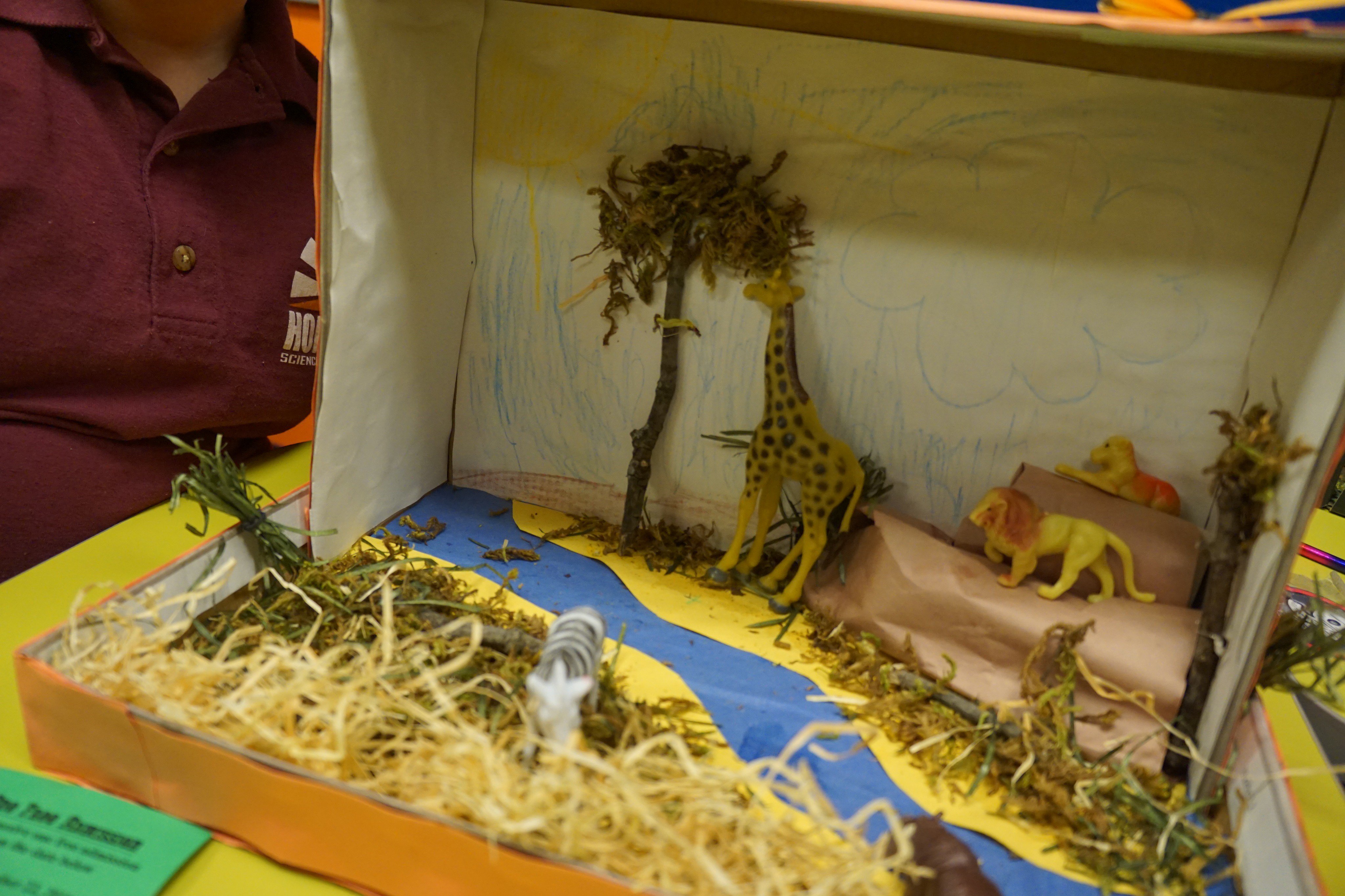 Desert Ecosystem Diorama