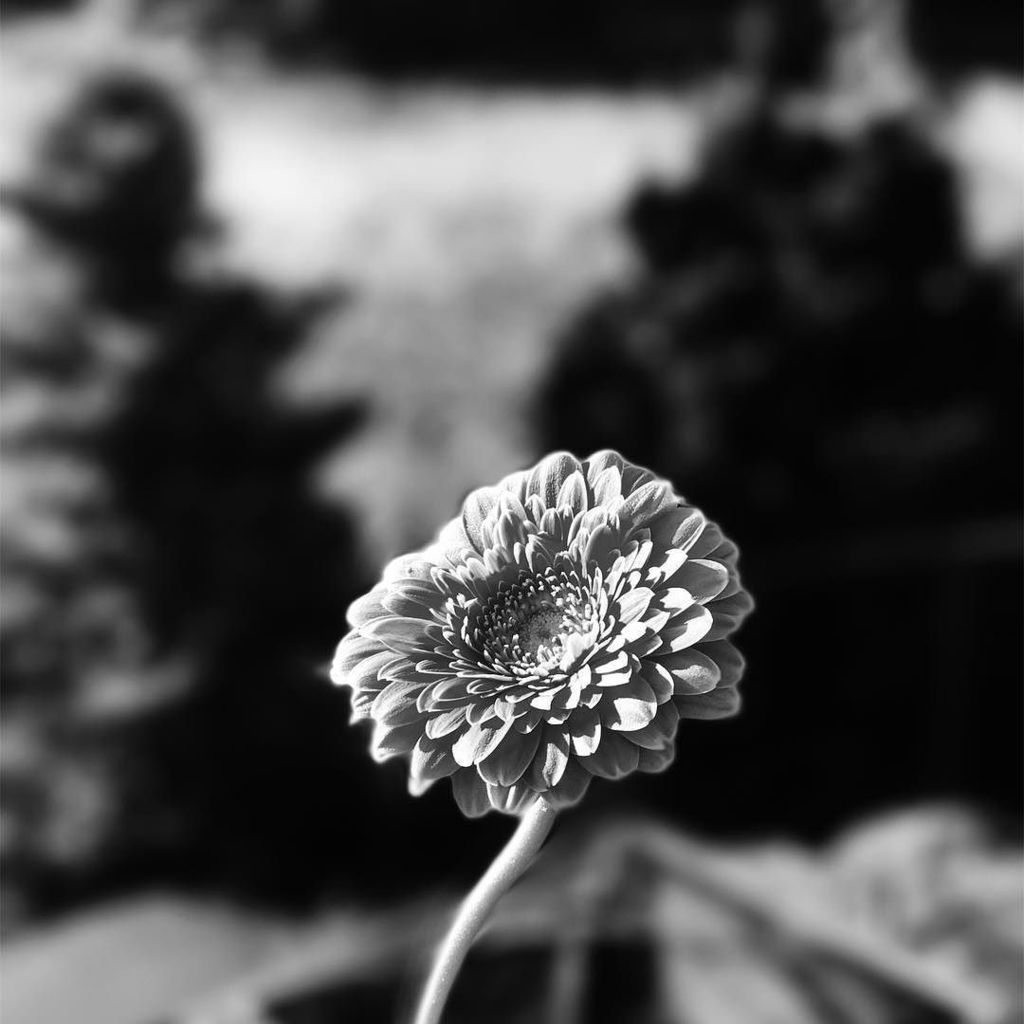 Jake Orme (@jatorme) | Twitter