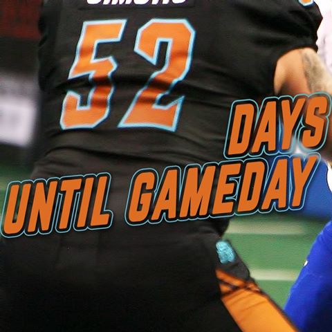 Arizona Rattlers - Arena Football League