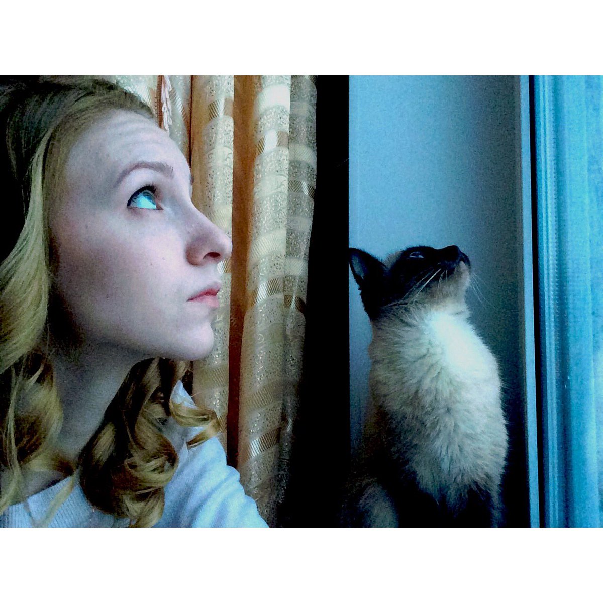 Julia Solnceva (@WHOOOIAM) | Twitter